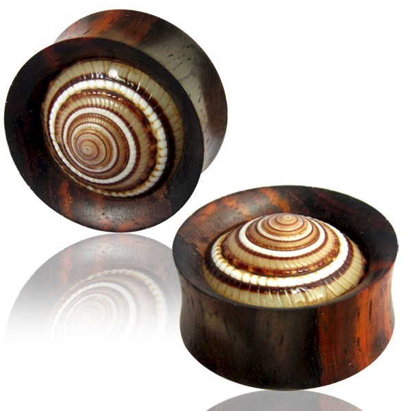 NARRA WOOD & CONE SHELL FLESH PLUG | The Jewellery People